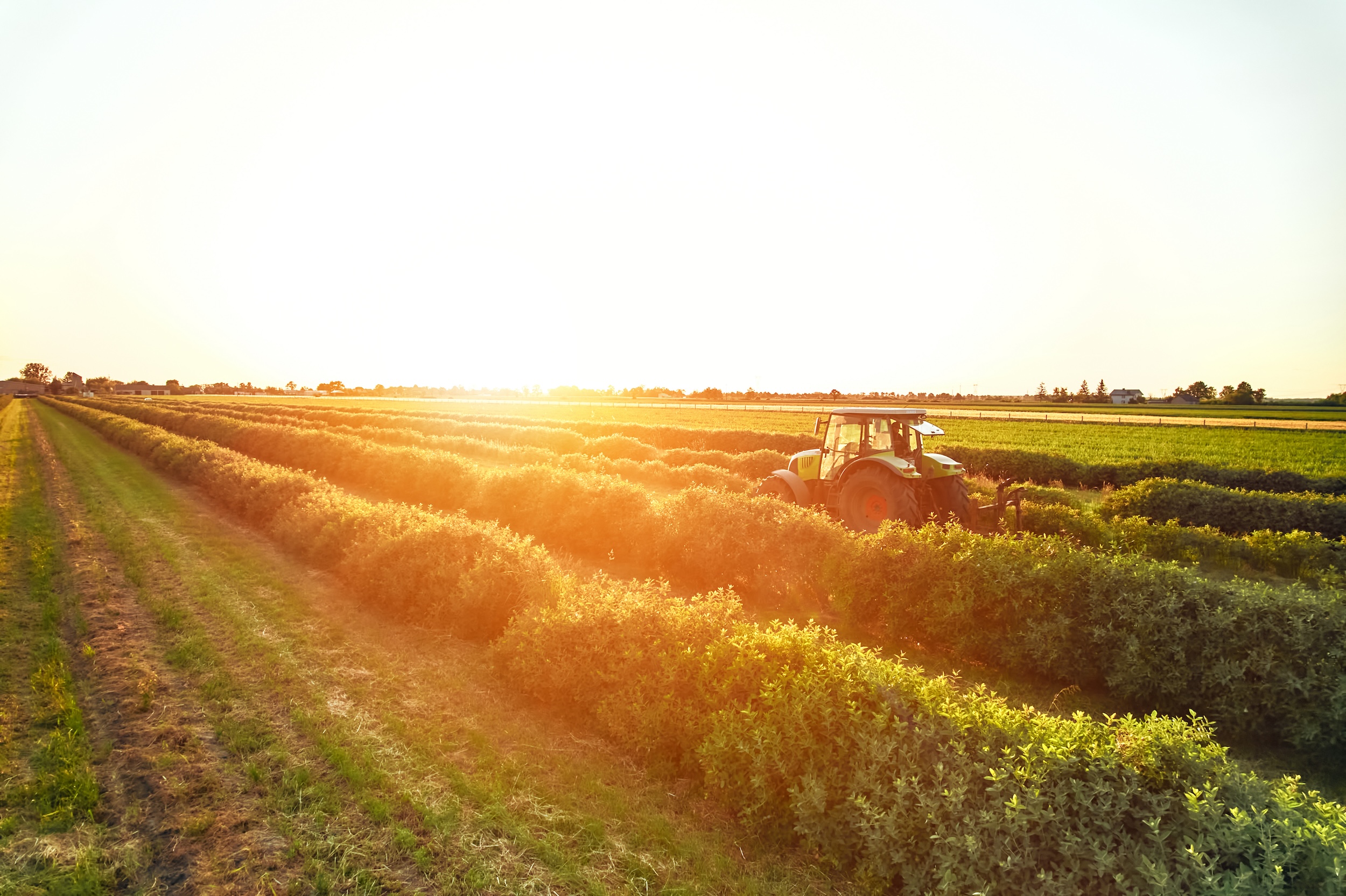 Everything You Should Know About Electric Tractors – Complete Farm Guide