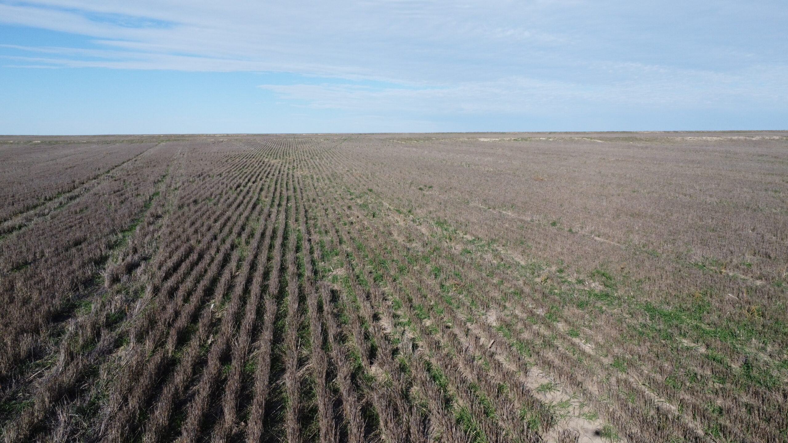 0000 Blue Bird Road, Wallace, KS 67761 (For Sale NYStateMLS Listing ...