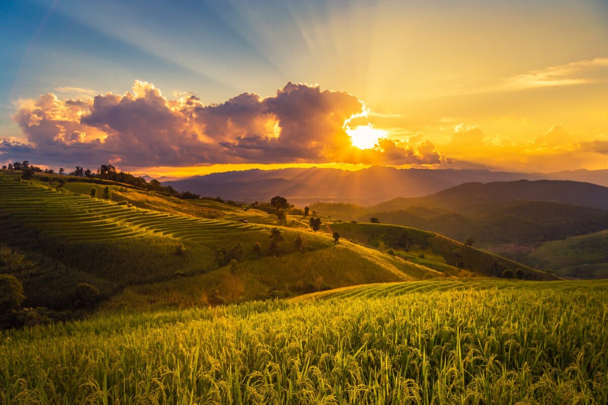 The Complete Guide To The Family Land Trust - How to Pass Down Property