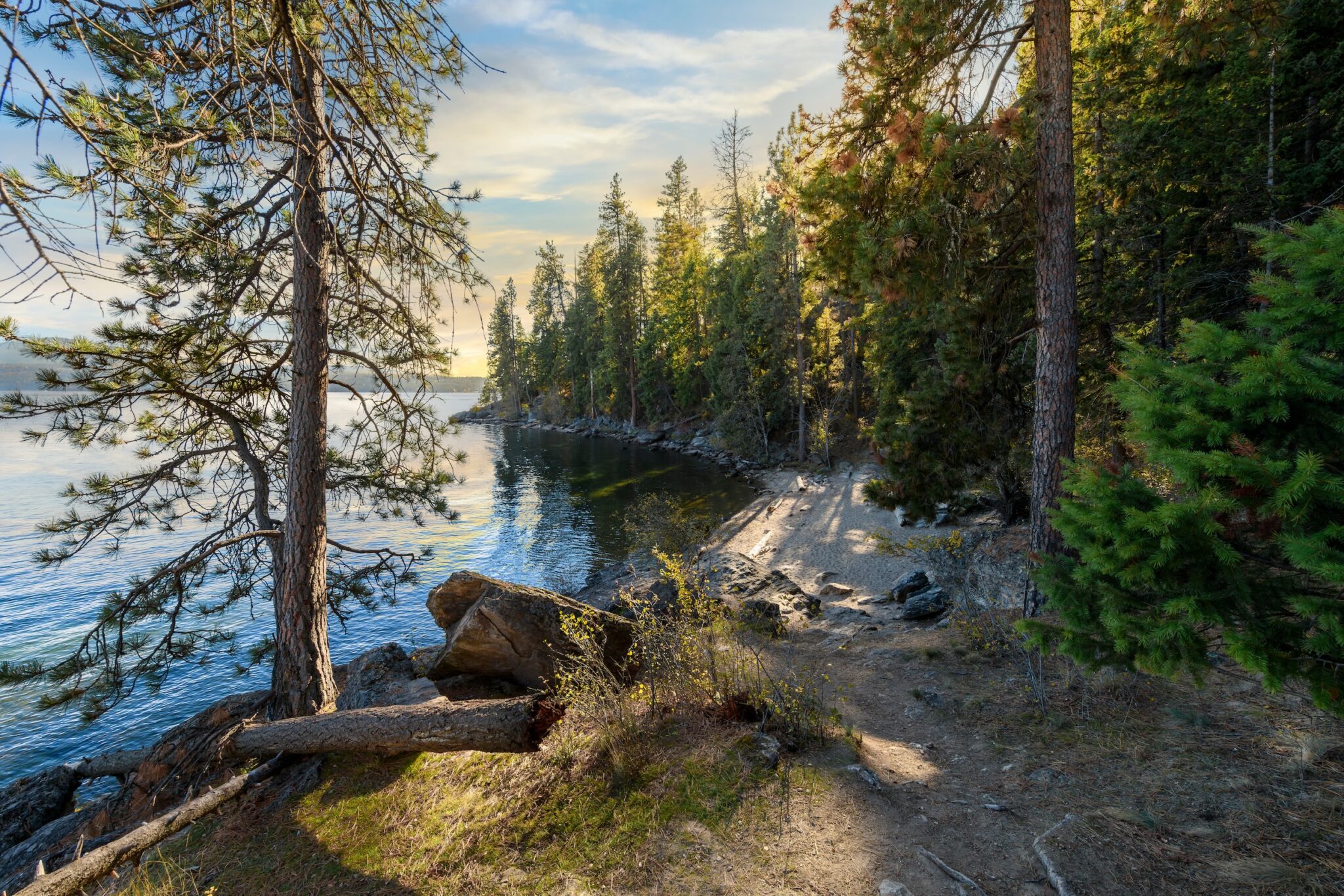 The 12 Best States To Buy Land In The US - Top Places In 2026