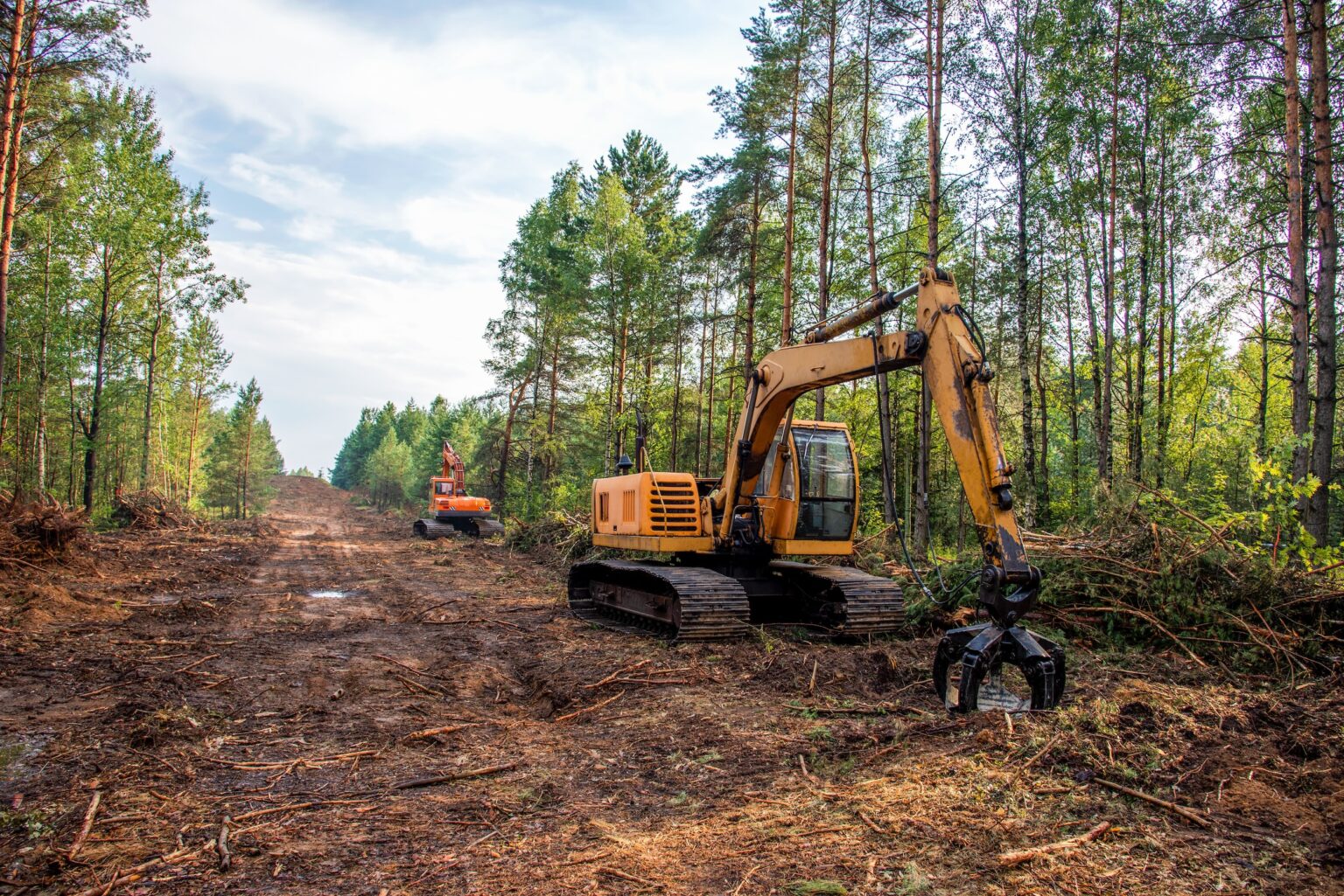 How To Clear Land: The Complete Step-By-Step Clearing Guide