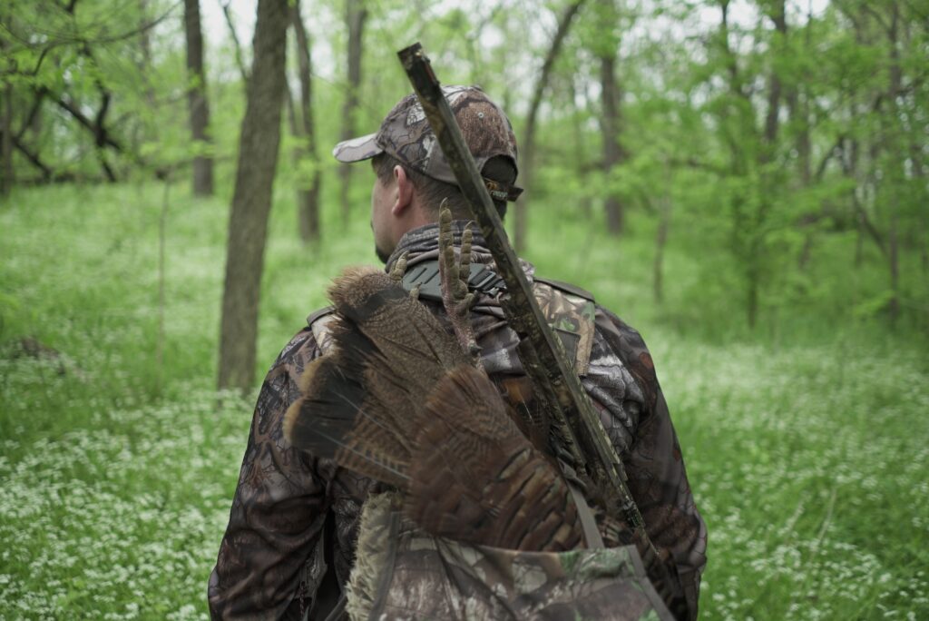 How To Roost A Turkey: Complete Hunter's Guide